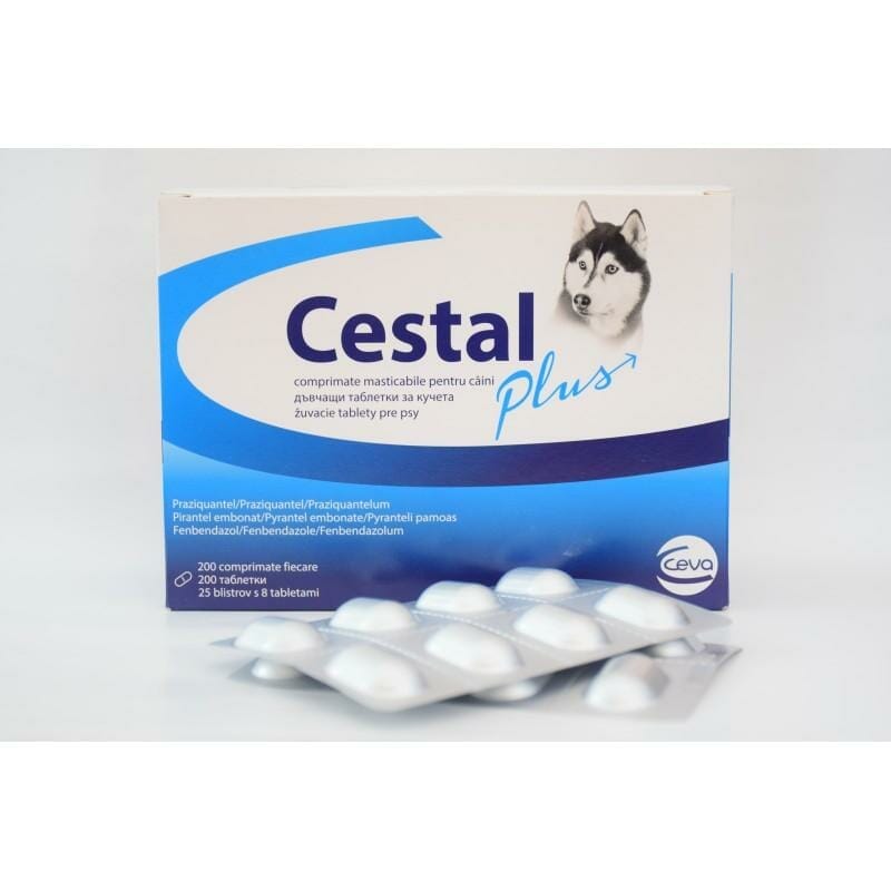 CESTAL PLUS 1 BLISTER / 8 TABLETS / | PetShopBoss.com