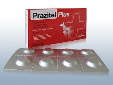 Prazitel Plus Worming Pork Flavoured Tablets For Dogs – PetShopBoss.com